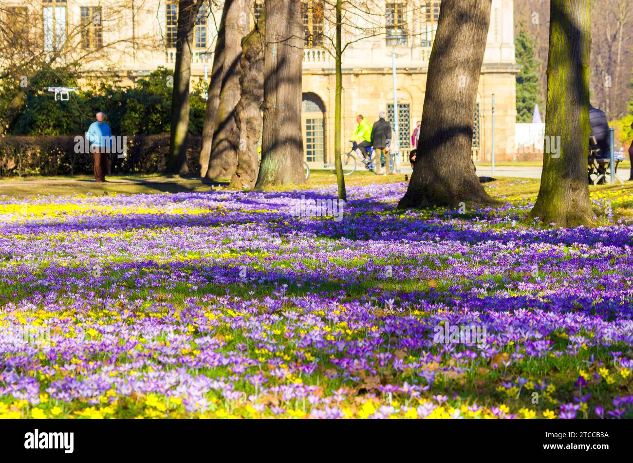 Spring bloomers in the Great Garden Stock Photo - Alamy