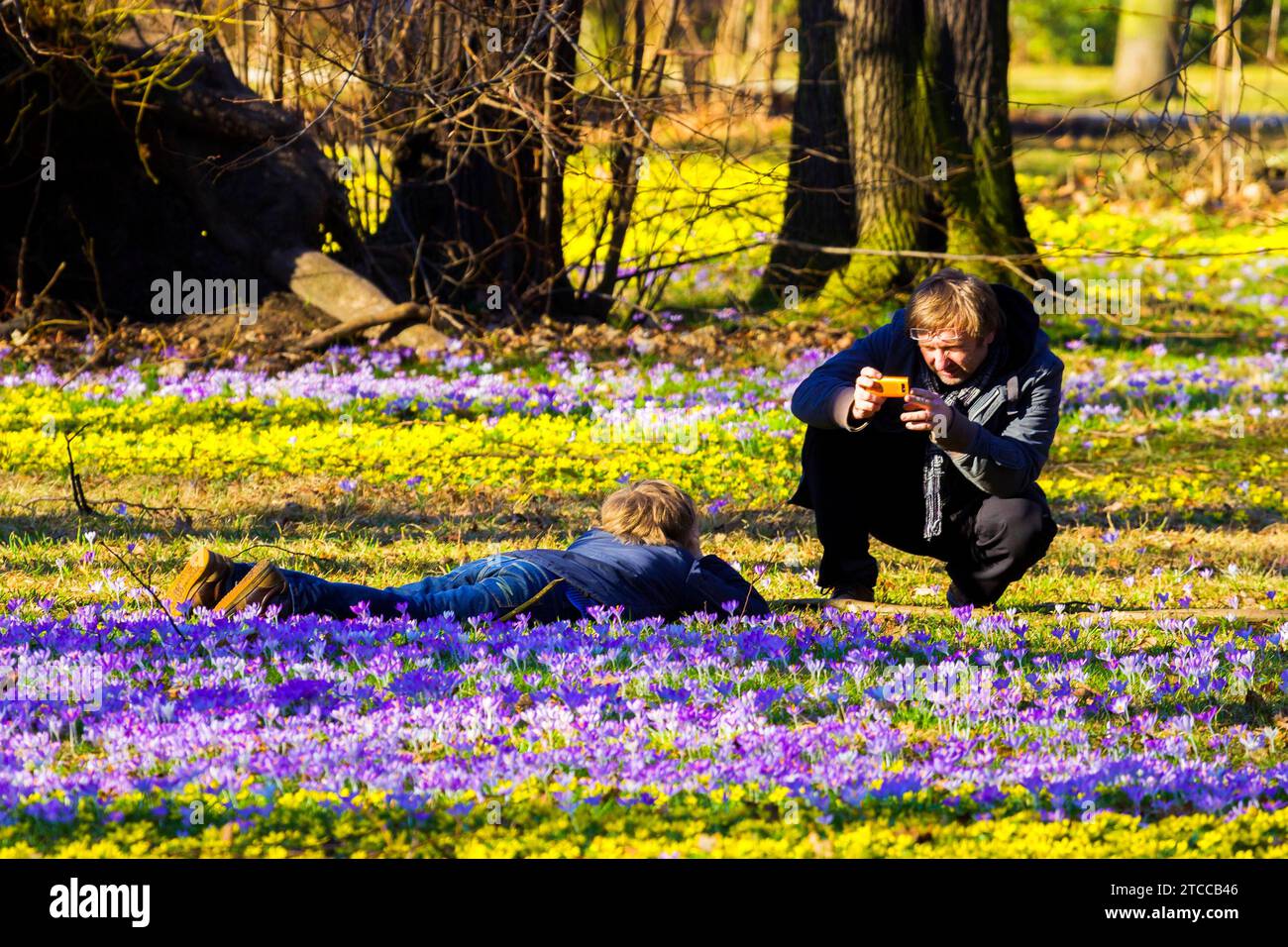 Spring bloomers in the Great Garden Stock Photo - Alamy
