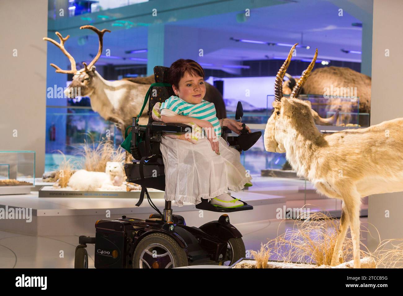 Disabled rider hi-res stock photography and images - Alamy