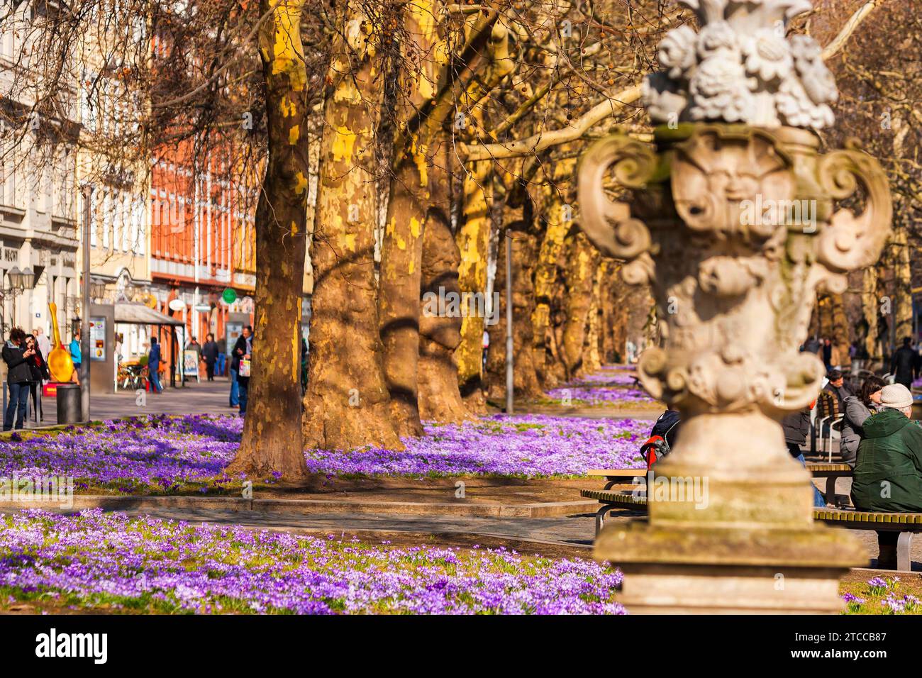 Spring on the main street in Dresden Stock Photo - Alamy