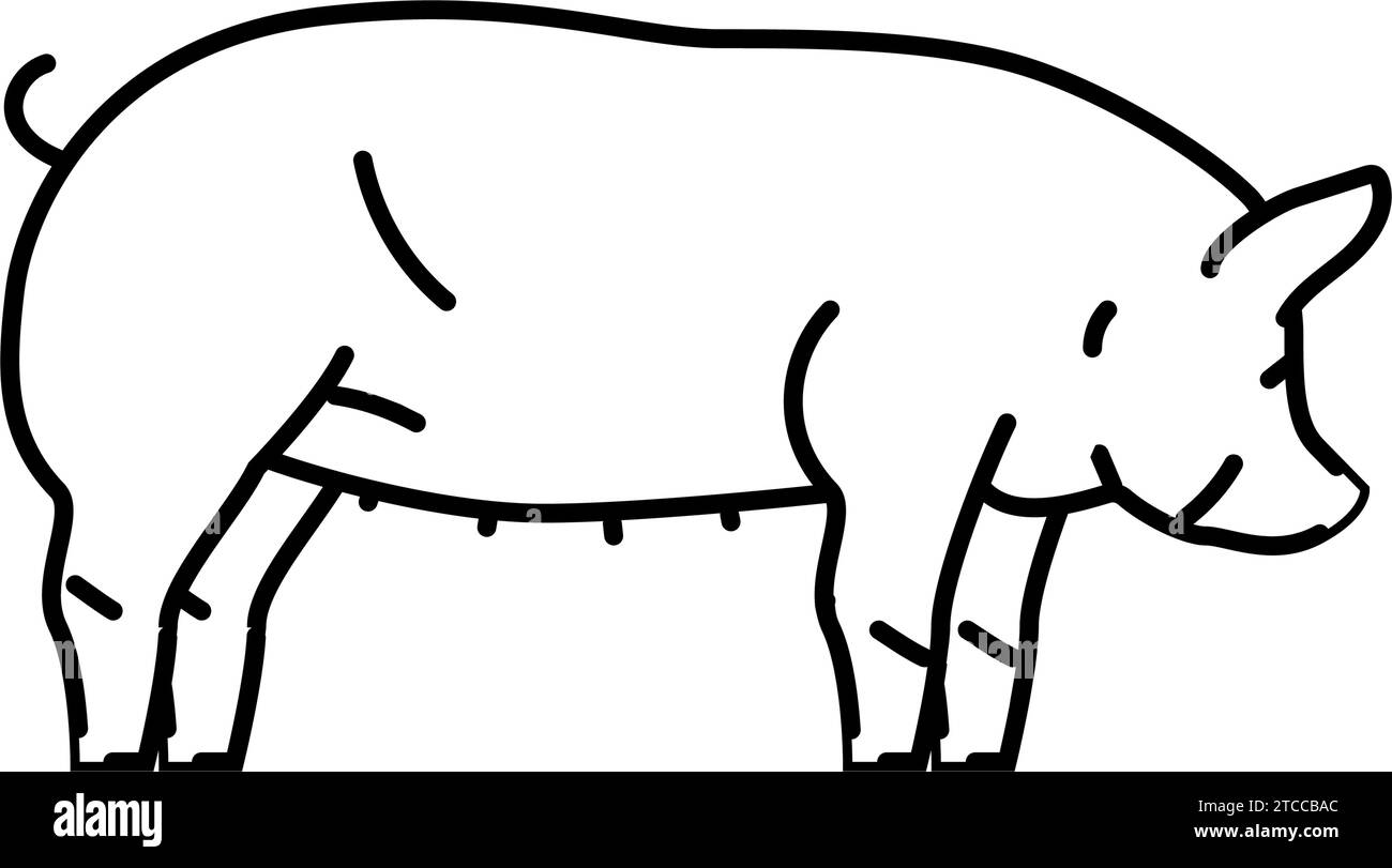 Black pig breed Stock Vector Images - Alamy