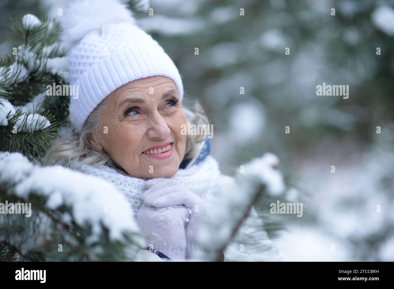 Nice old woman in a fur coat in the winter Stock Photo - Alamy
