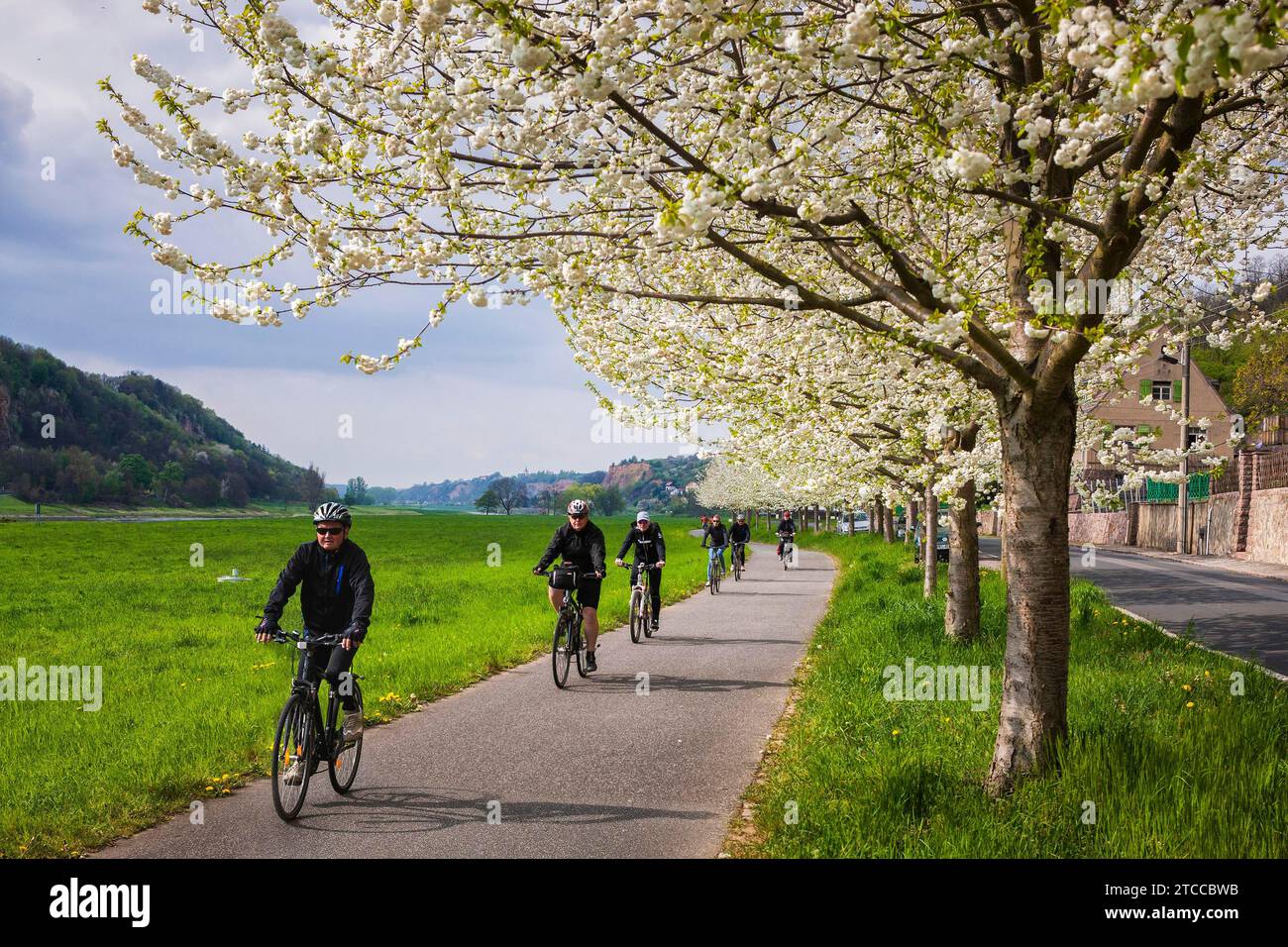Elbe Cycle Route near Meissen Stock Photo - Alamy