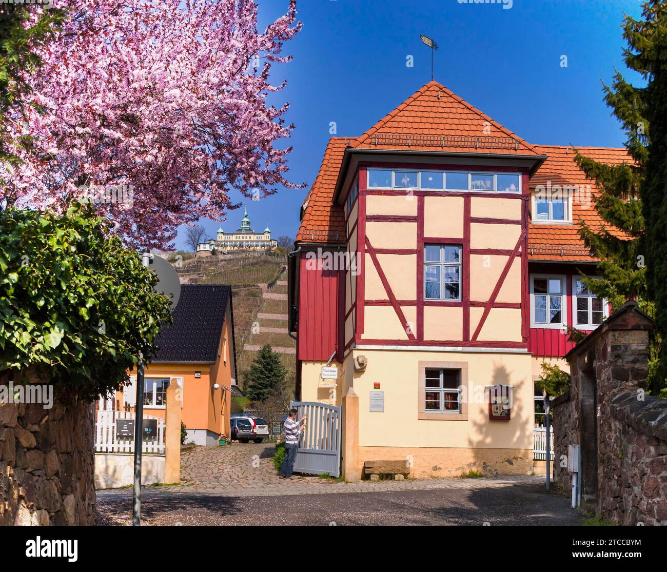 Radebeul Retzsch Haus Klaus Seifert, winery in Radebeul The estate has ...
