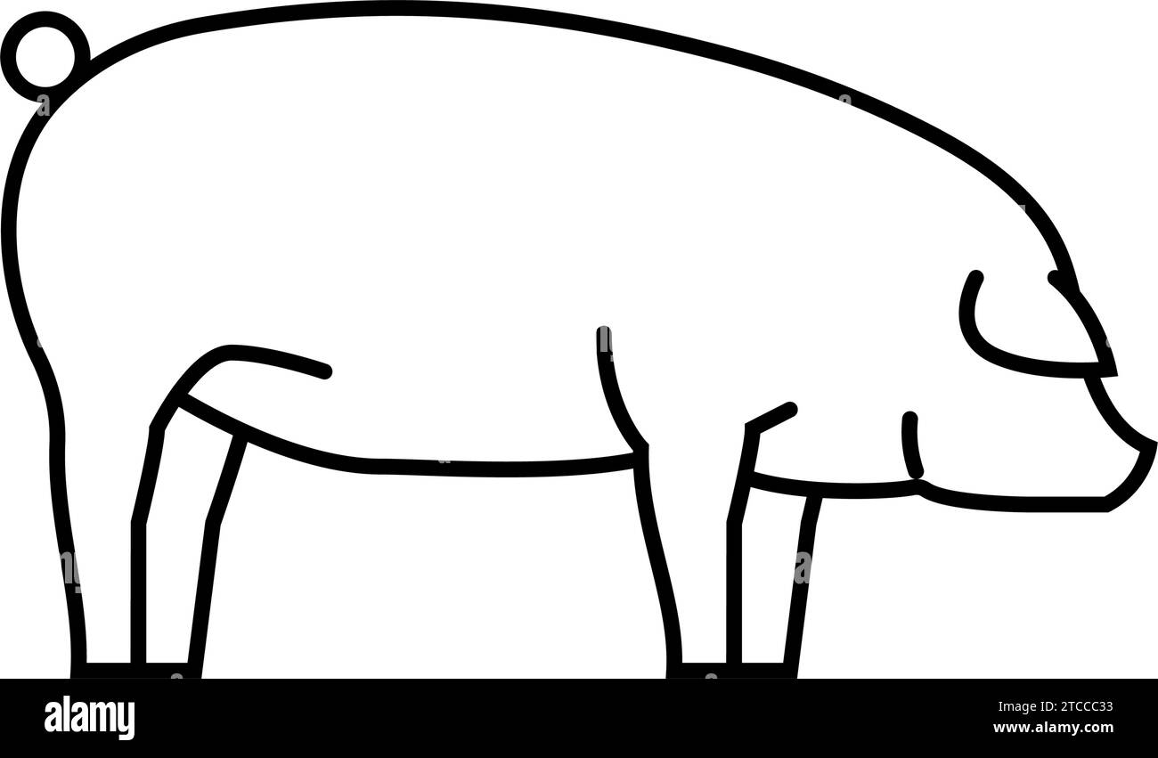 landrace pig breed line icon vector illustration Stock Vector Image ...