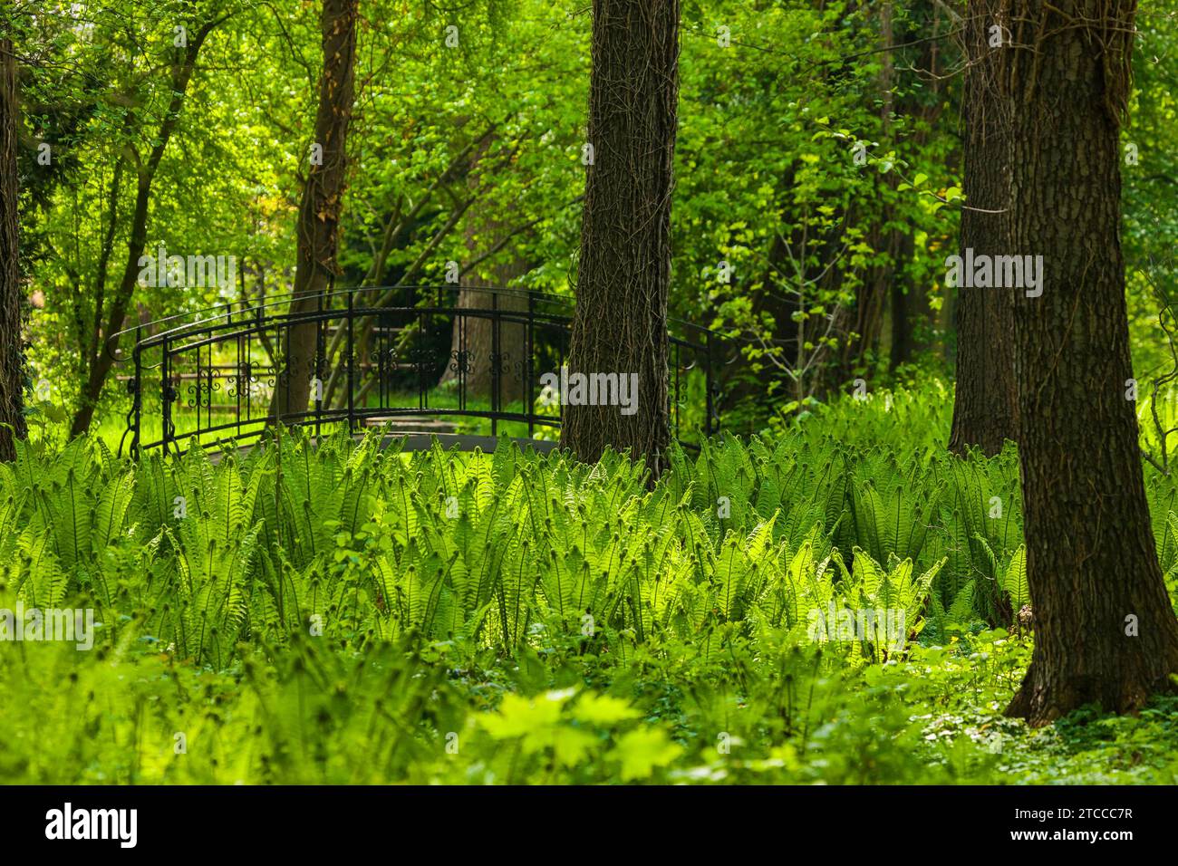Schoenfeld Castle Park Grossenhain Stock Photo - Alamy