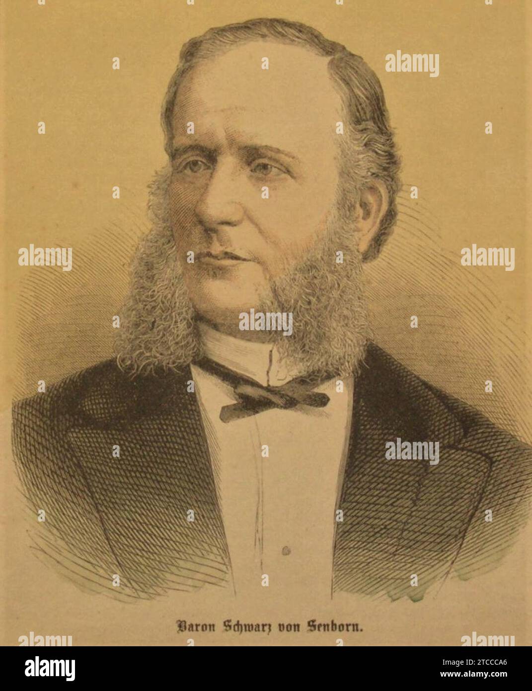 Wilhelm schwarz senborn hi-res stock photography and images - Alamy