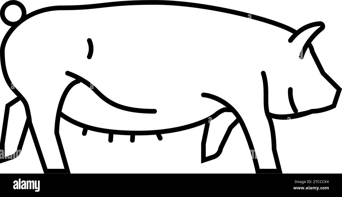 yorkshire pig breed line icon vector illustration Stock Vector Image ...
