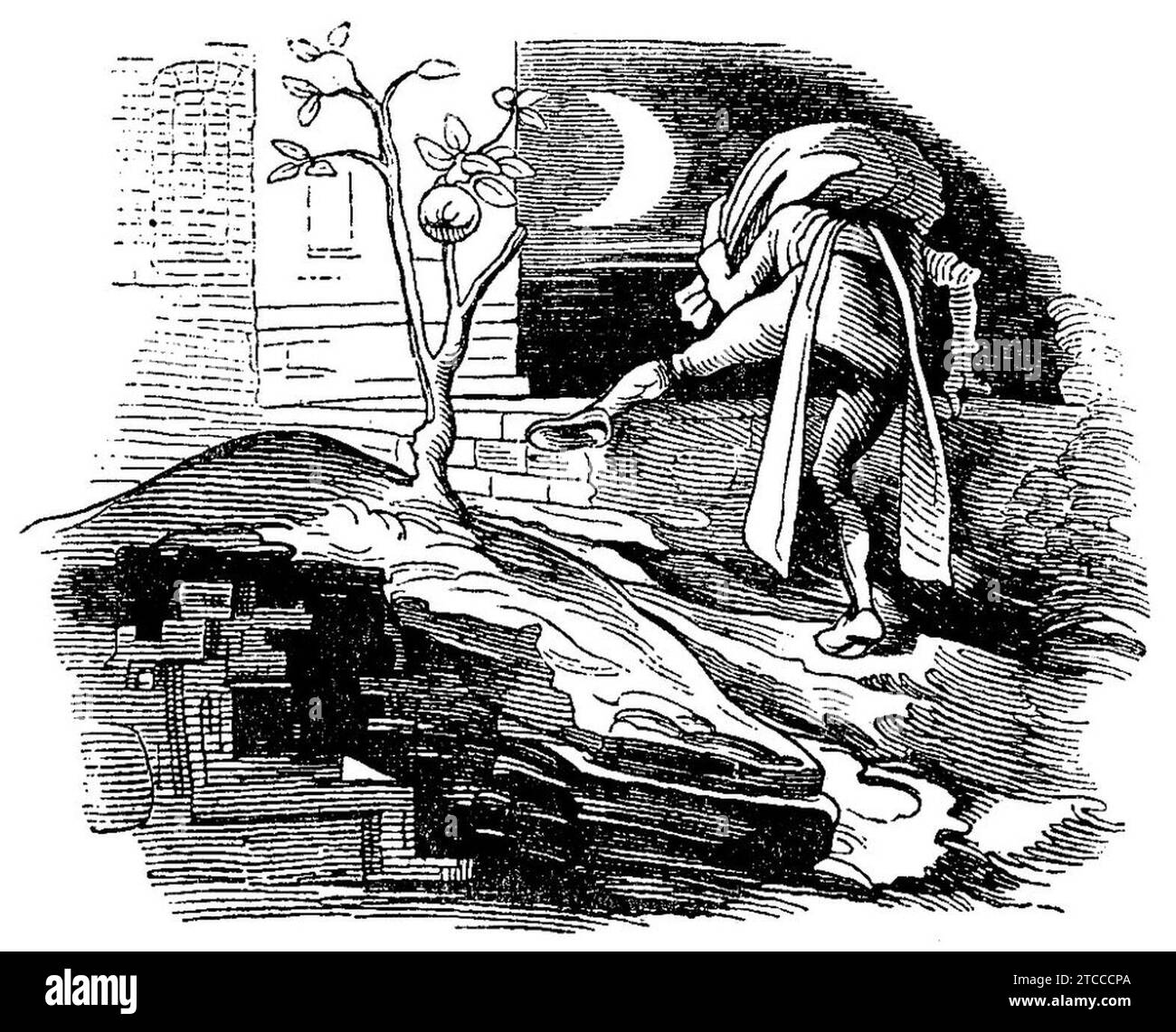 Busch wilhelm Cut Out Stock Images & Pictures - Alamy