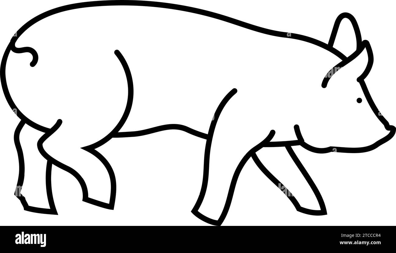 Pig piglet running Black and White Stock Photos & Images - Alamy