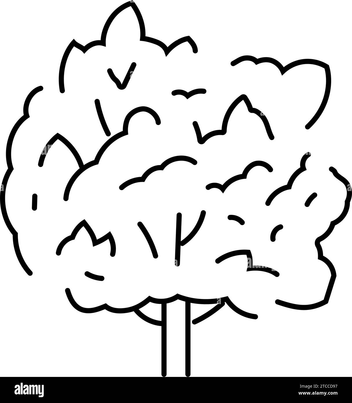 macadamia tree jungle amazon line icon vector illustration Stock Vector ...