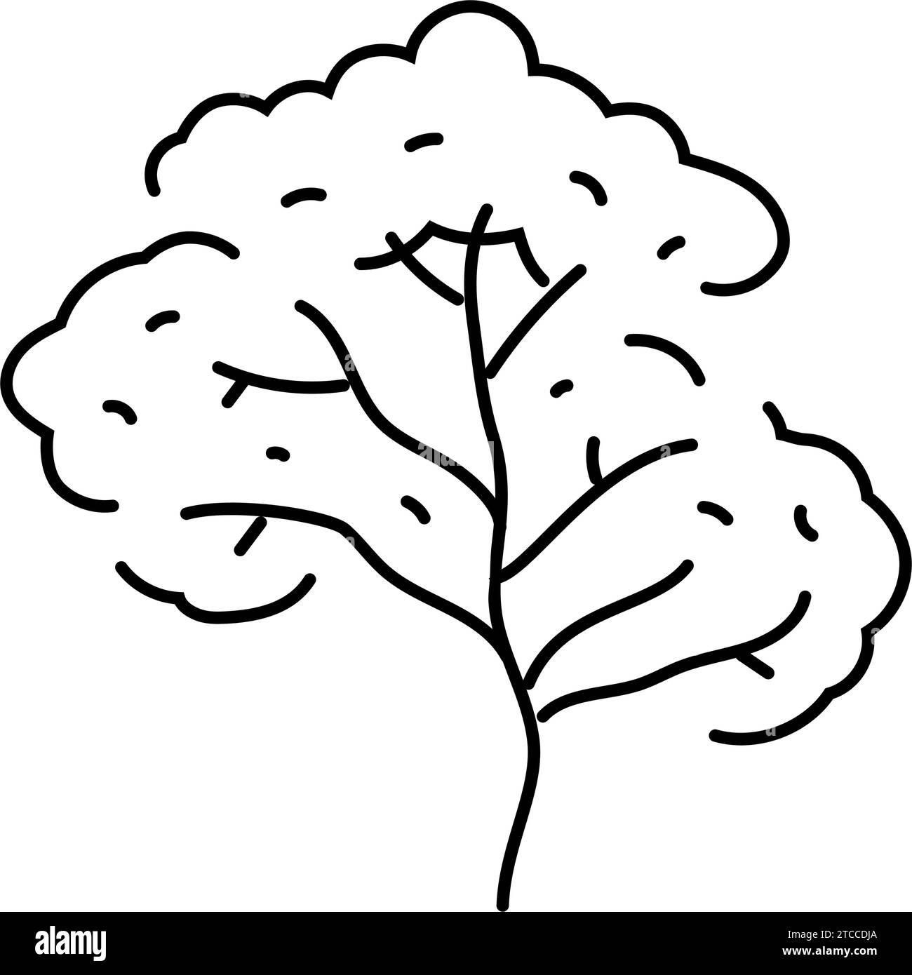 balsa jungle amazon line icon vector illustration Stock Vector Image ...