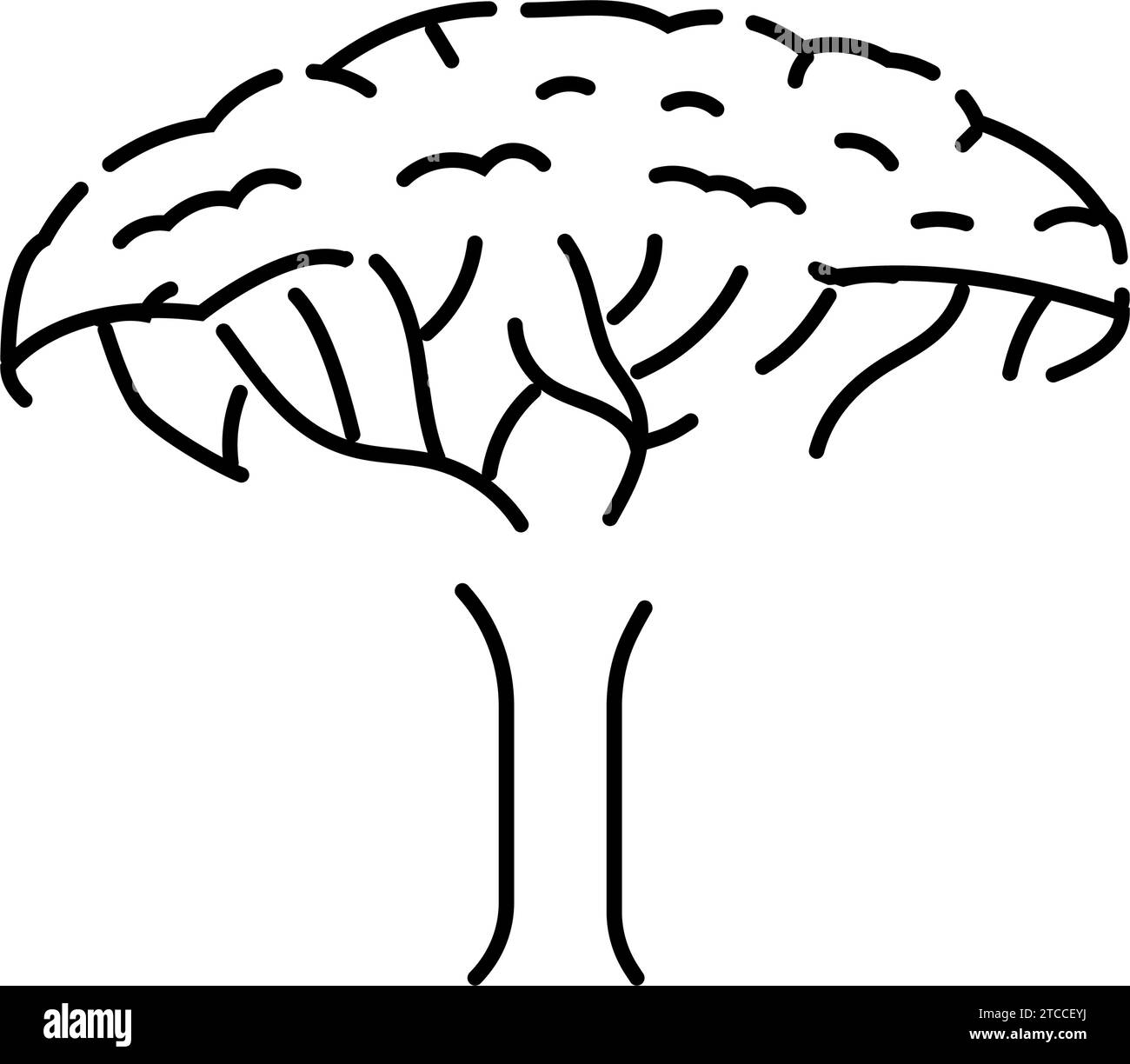 Dragon blood tree forest Stock Vector Images - Alamy