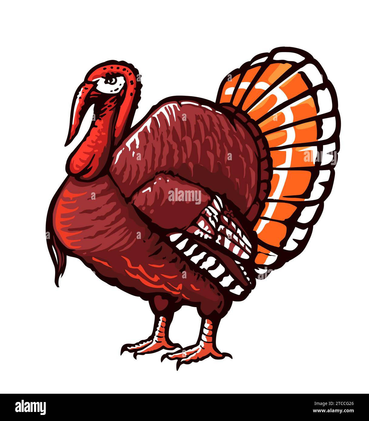 Turkey hand drawn illustration in engraving or woodcut style. Vector ...