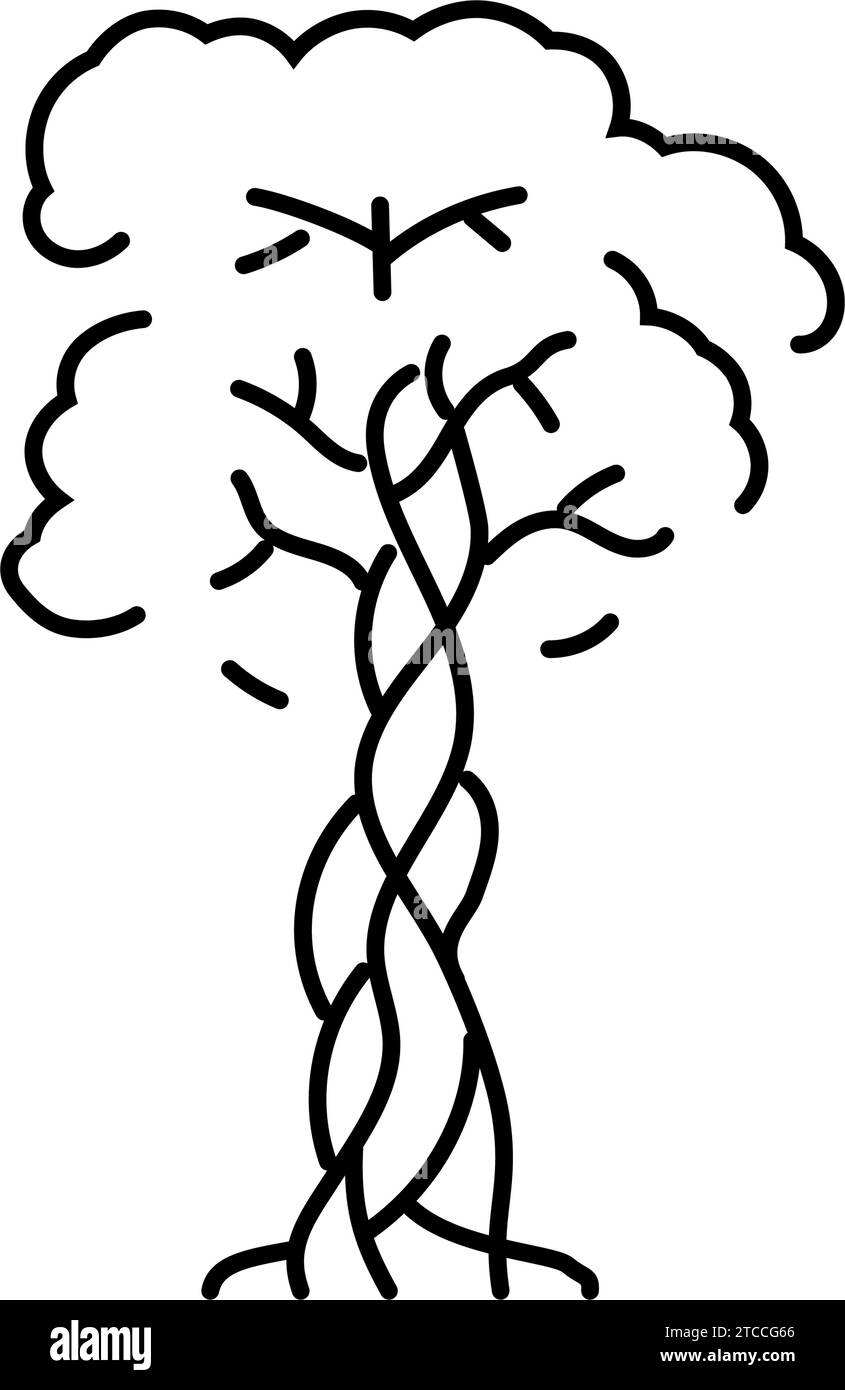 Strangler Fig Tree Drawing