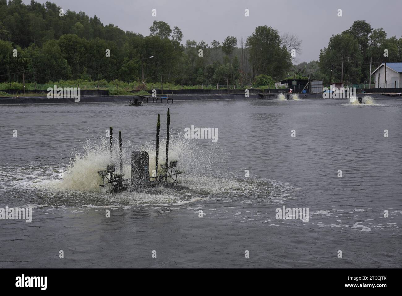 Paddle Wheel Aerator for Fish Pond Shrimp Farm Agriculture Machine ...
