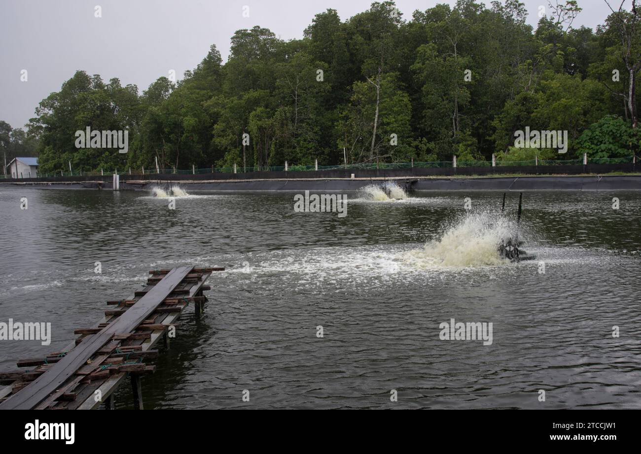 Paddle Wheel Aerator for Fish Pond Shrimp Farm Agriculture Machine ...