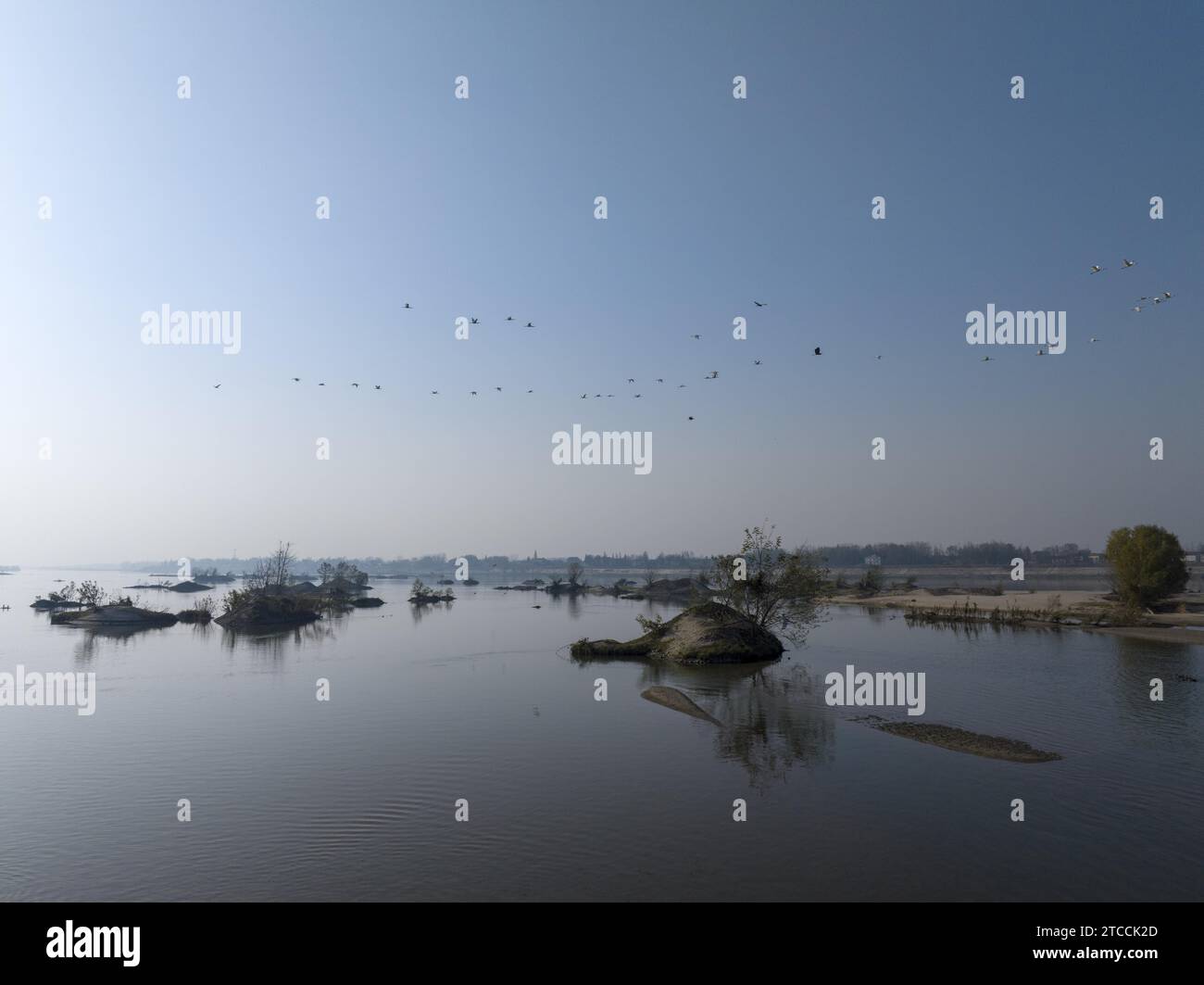 Aerial photo shows migratory birds gathering at the wetland by the Han ...