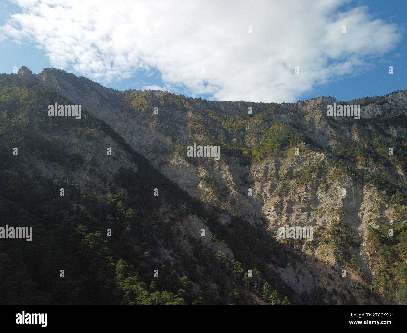 Aerial panoramic view of forest on rocky mountain slope - Ai Petri ...