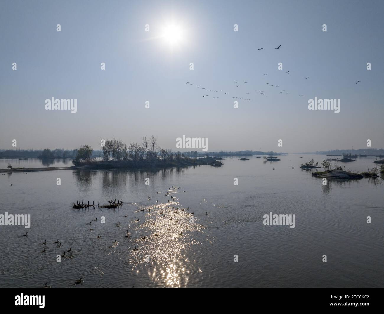 Aerial photo shows migratory birds gathering at the wetland by the Han ...