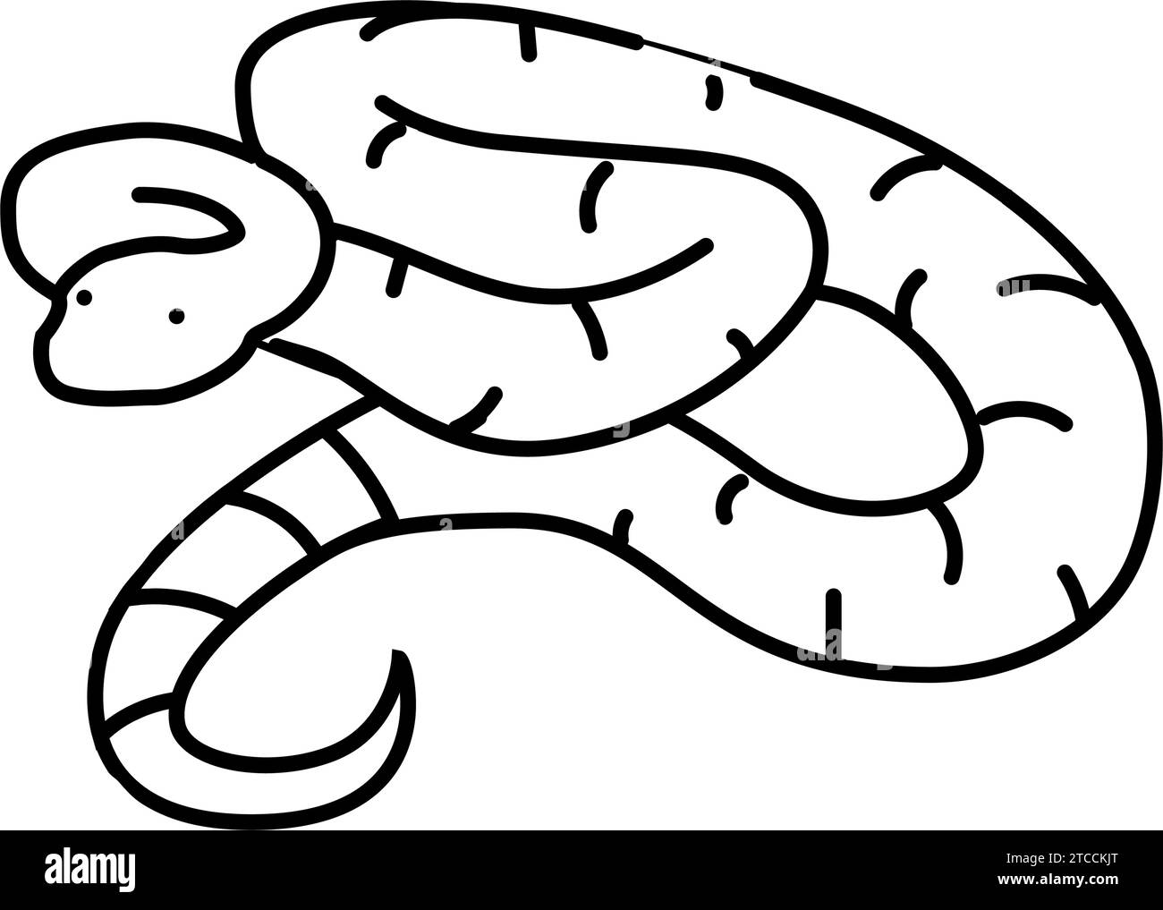 Boa constrictor Black and White Stock Photos & Images - Alamy