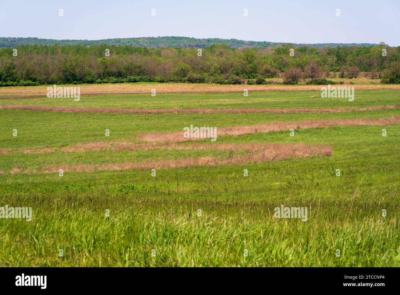 An Open Field at Hopewell Culture National Historical Park, Ohio Stock ...
