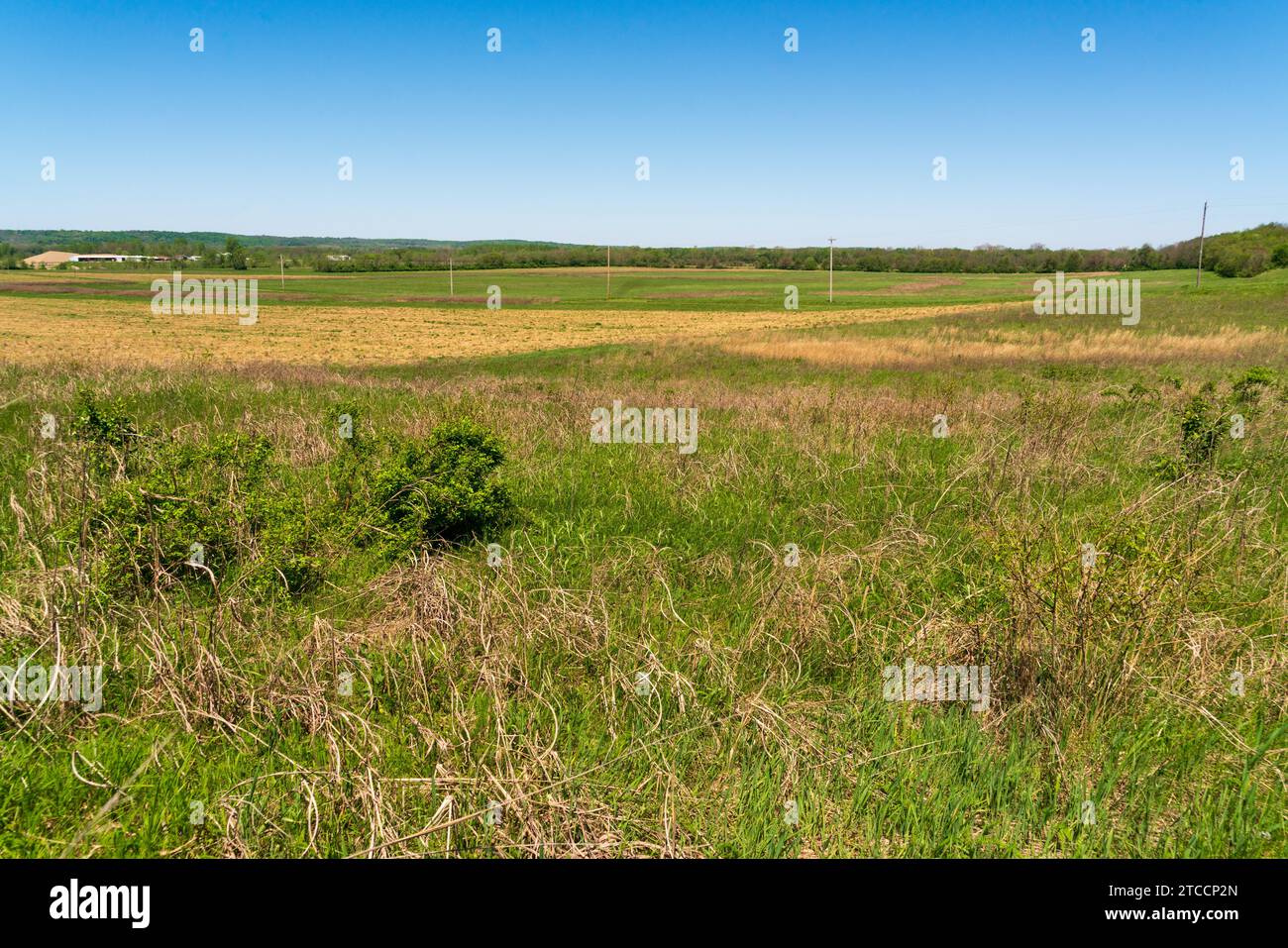 An Open Field at Hopewell Culture National Historical Park, Ohio Stock ...
