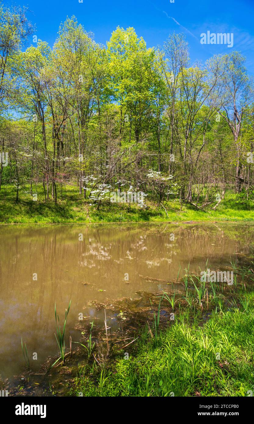 Ohio River at Hopewell Culture National Historical Park in Ohio Stock ...
