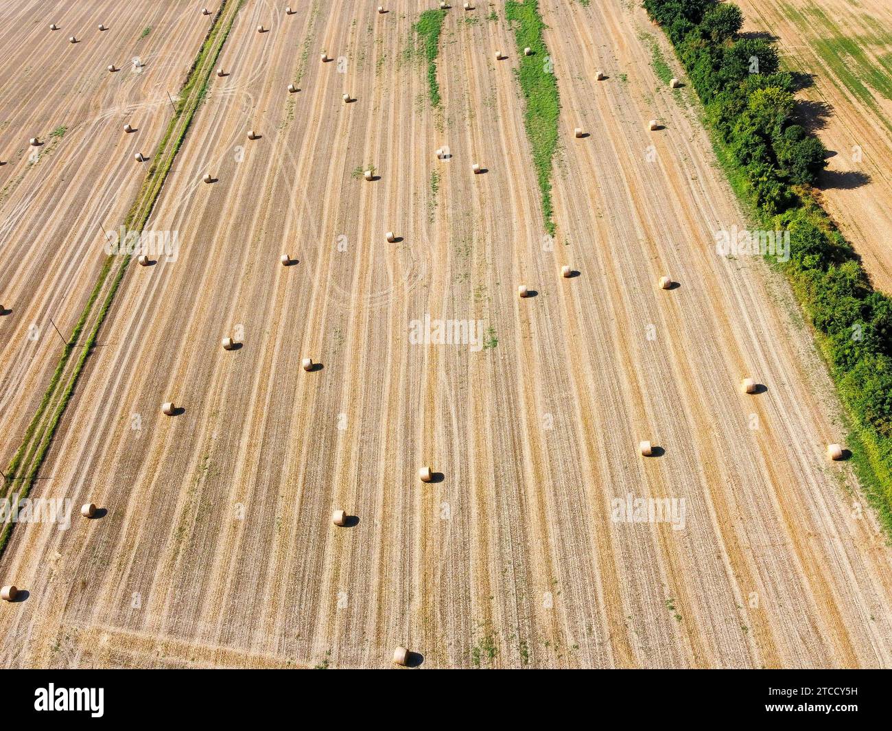 aerial view of an agricultural field with hay bales Stock Photo - Alamy