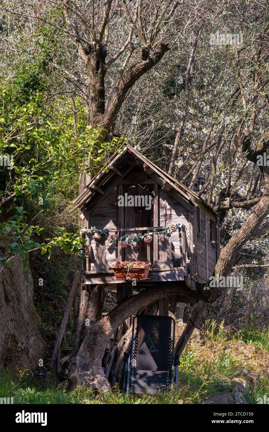 Old tree house in a mediterranean garden, Savona, Liguria, Italy Stock ...