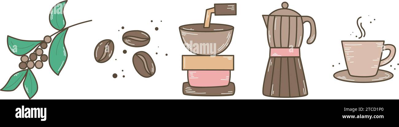 Stages of coffee preparation concept. Coffee on branch, coffee beans ...
