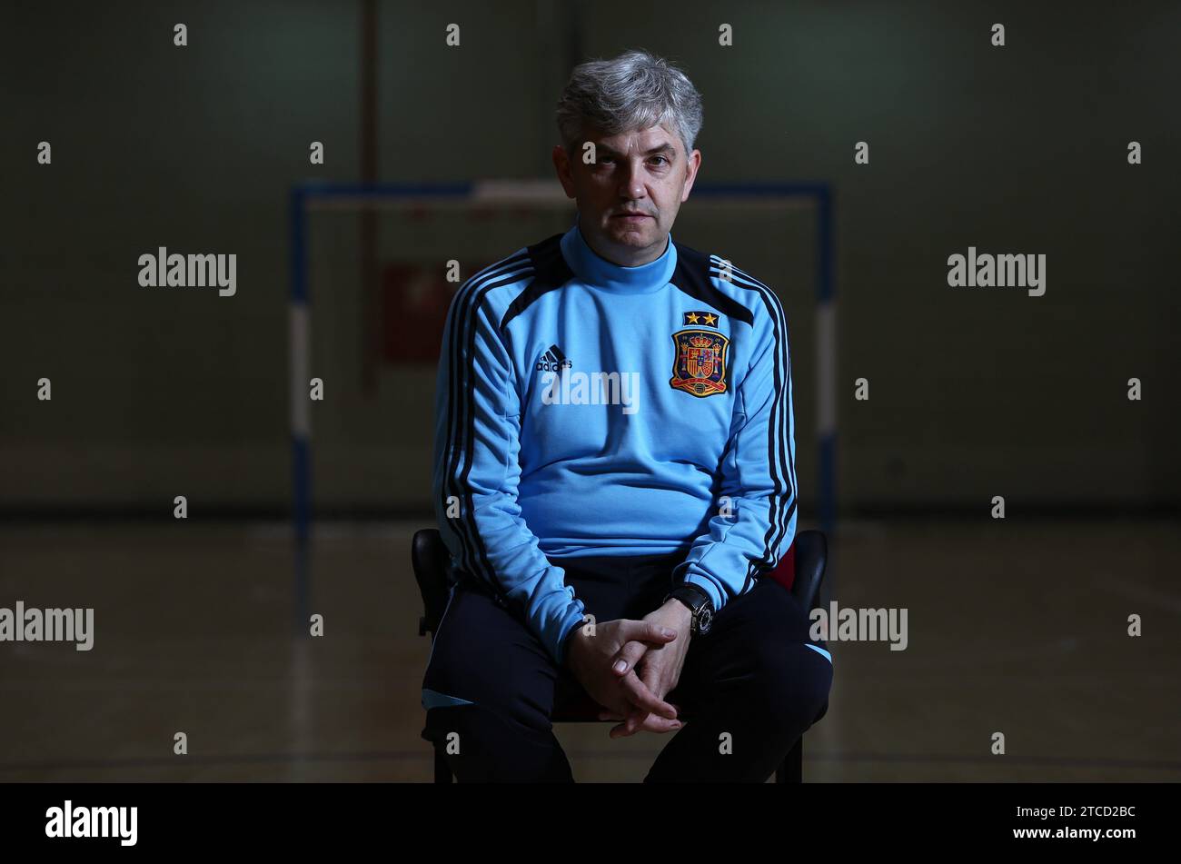 MADRID, October 26, 2012. Photo interview with the coach of the Spanish ...