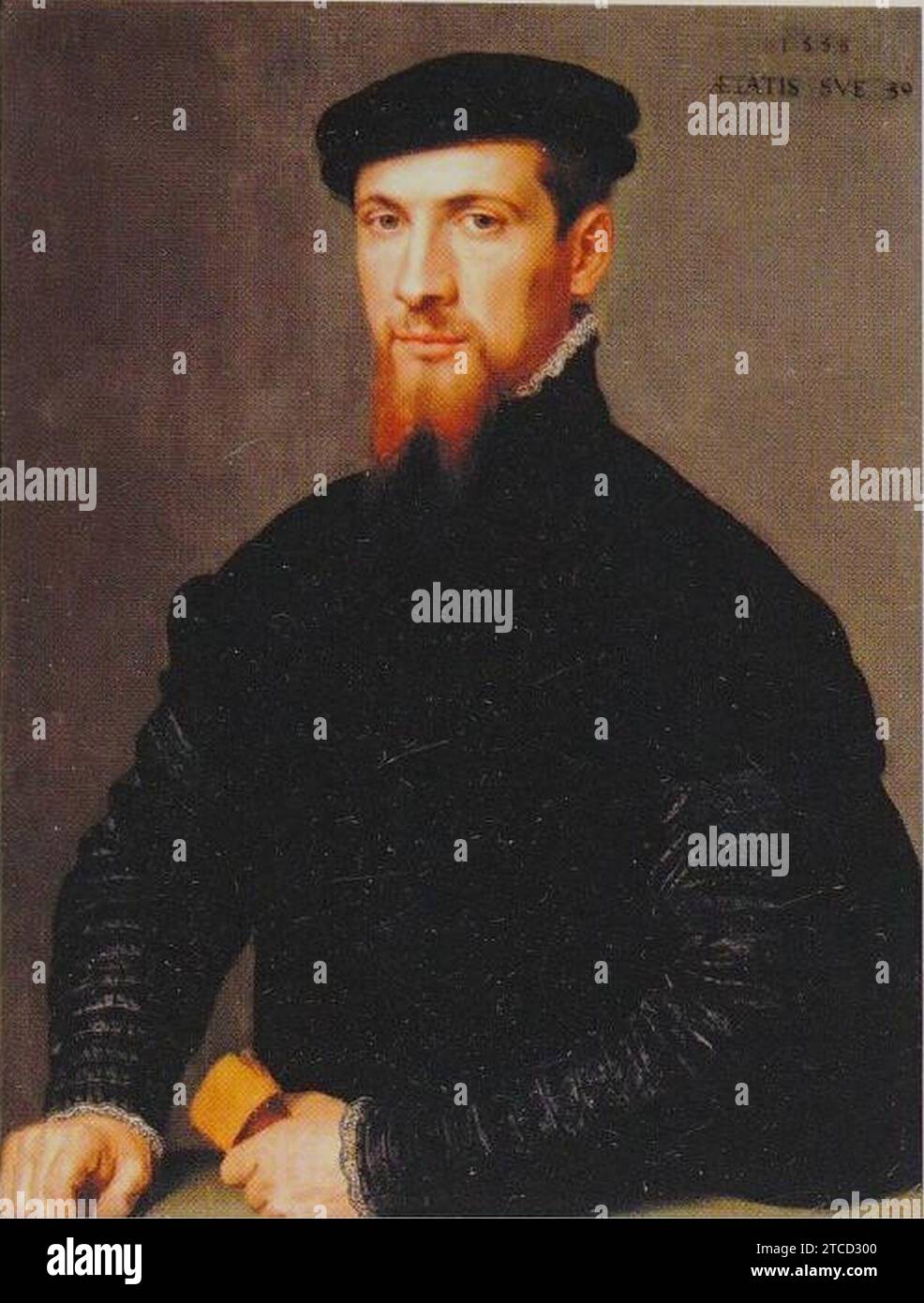 Willem Key - Jonckheere, A012 Stock Photo - Alamy