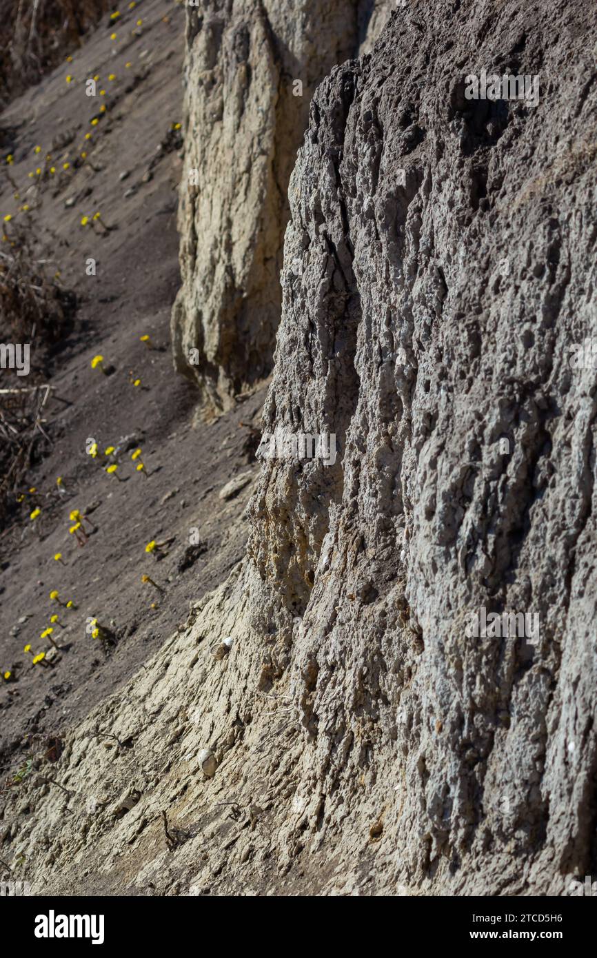 Natural background. Patterns on the surface of the earth. Earth texture ...