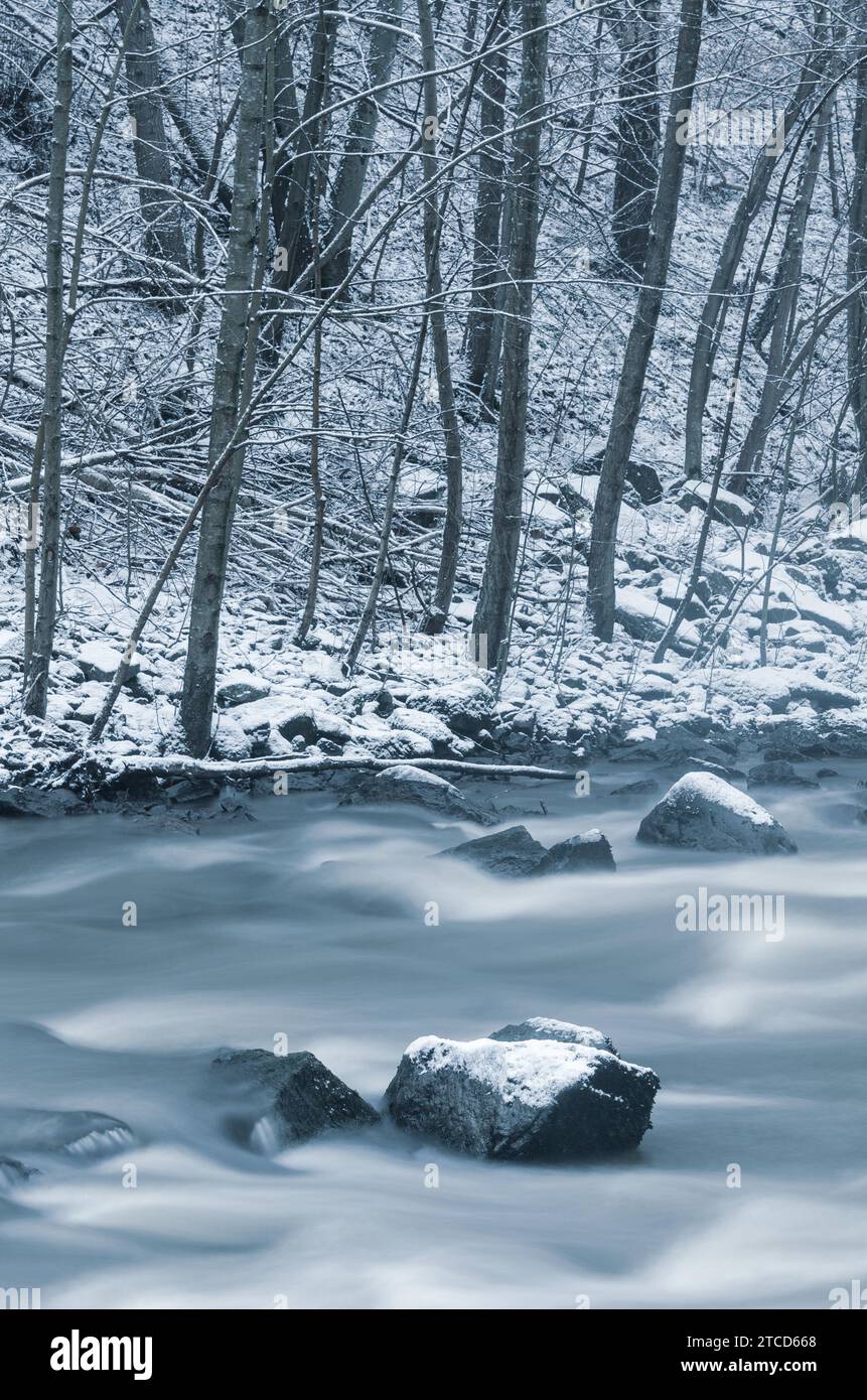 Winter water and tree in tranquil snowy woodland Stock Photo - Alamy