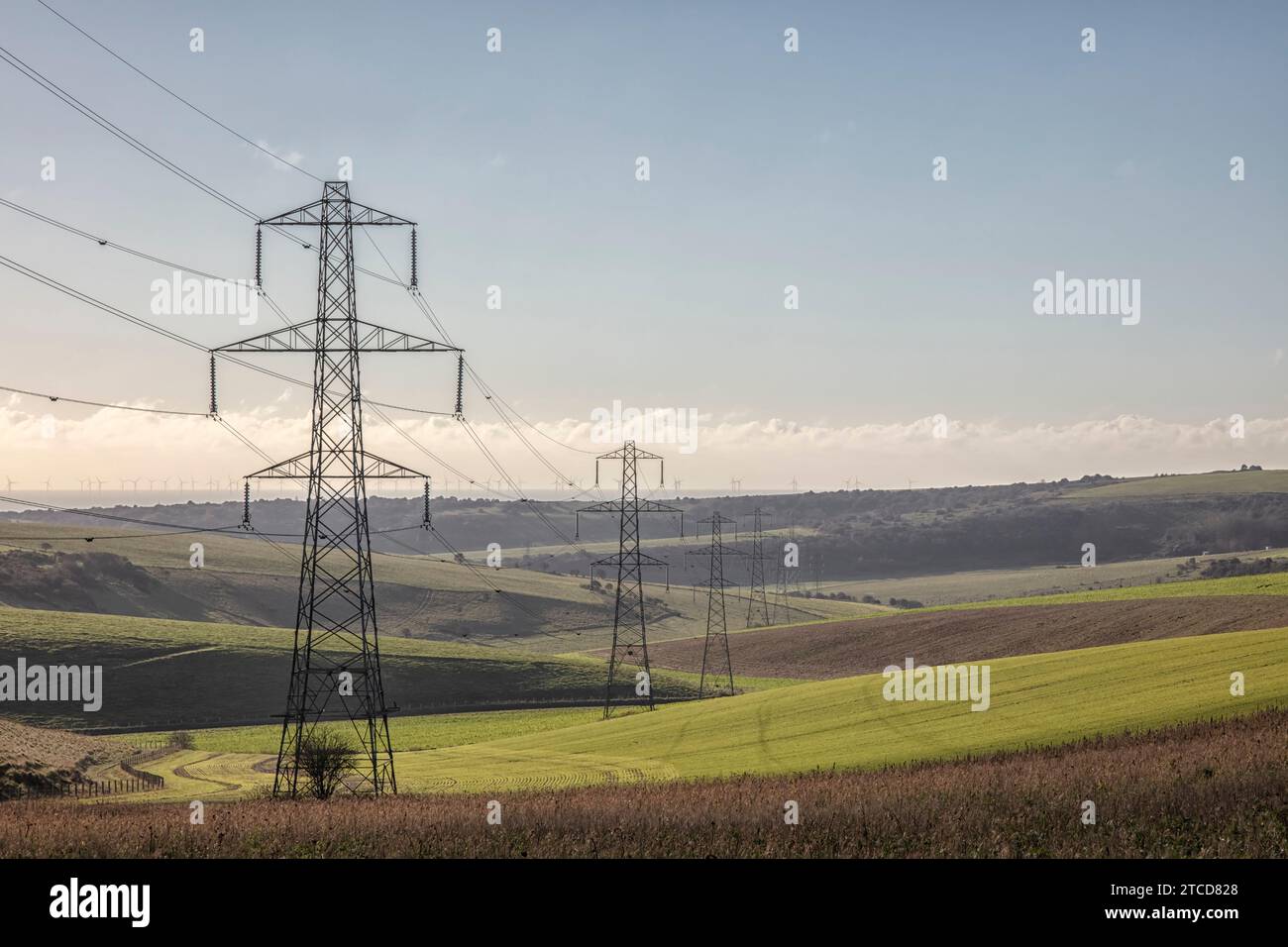 Electricity pylons on the South Downs Stock Photo - Alamy