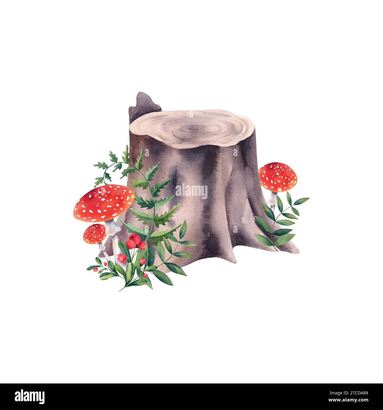 Watercolor stump on a white background. Forest illustration with fly ...