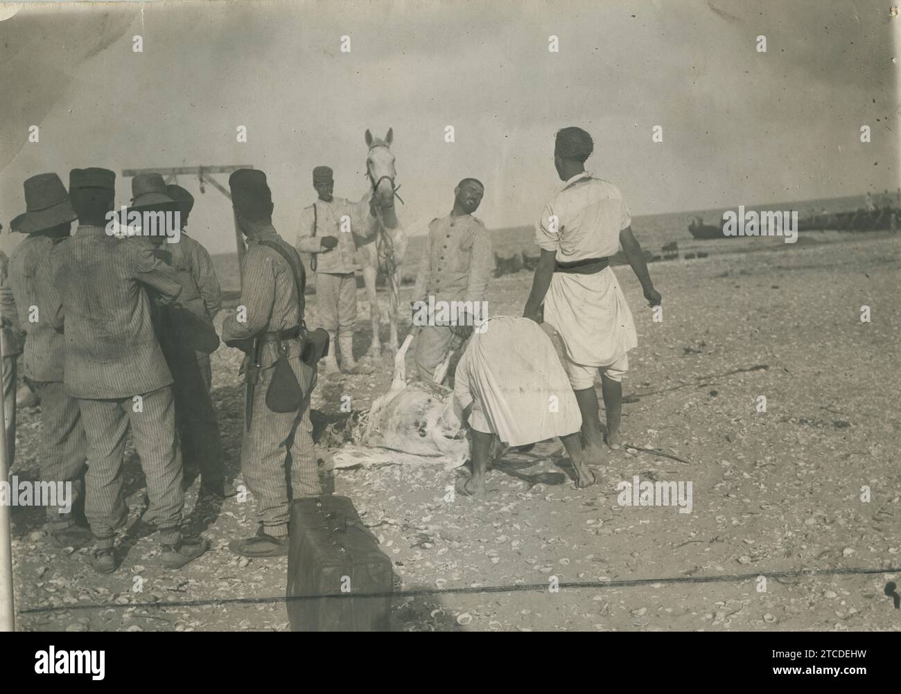 Moroccan War, August 1909. Moorish butchers at the service of Spanish ...