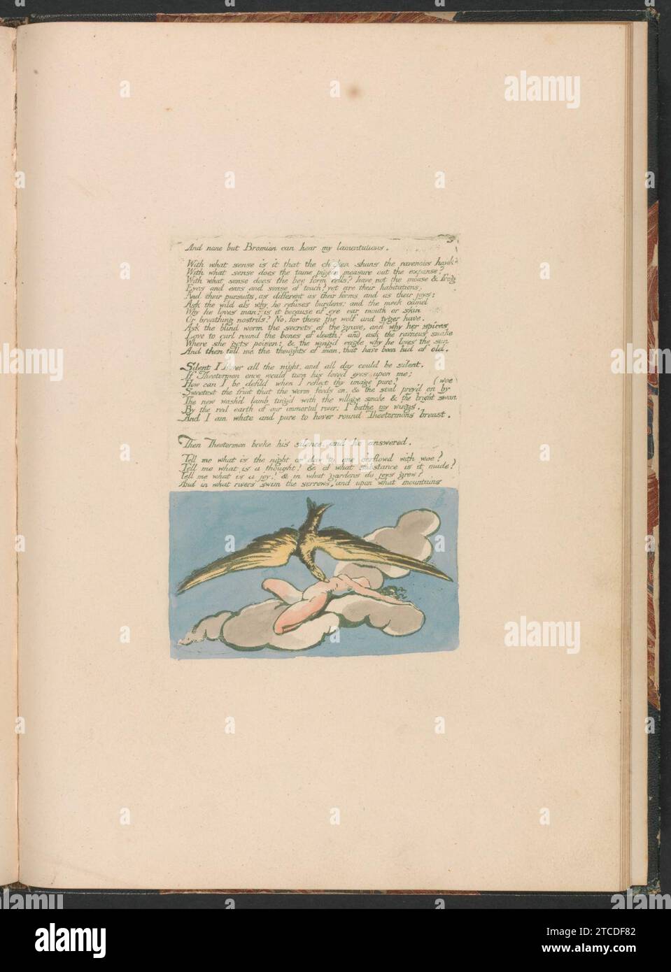 William Blake - Visions of the Daughters of Albion, Plate 6, ''And none ...