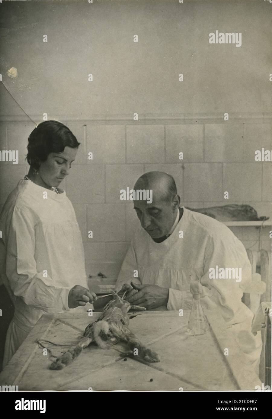 October 1929. Research against rabies. In the image, a veterinary ...