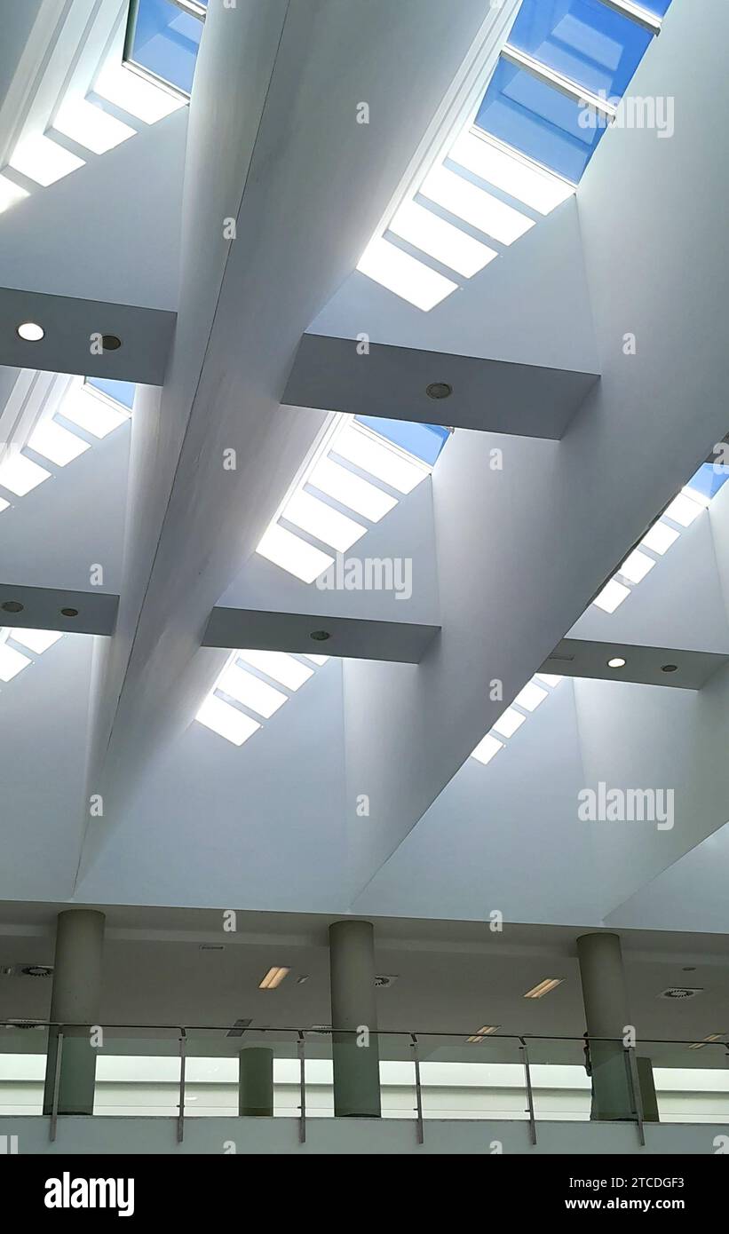 A roof full of skylights allows natural light to flood a modern style ...