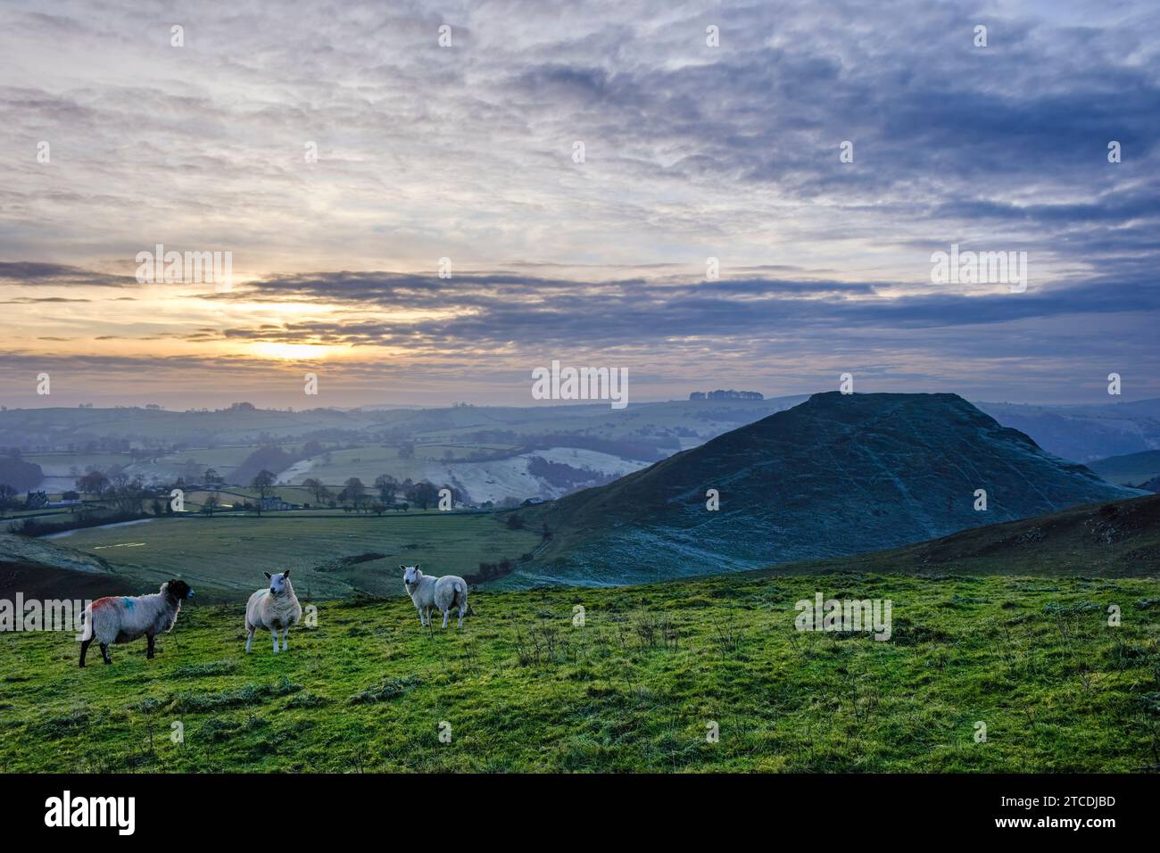 Thorpe Cloud from Thorpe Pasture, Peak District National Park ...