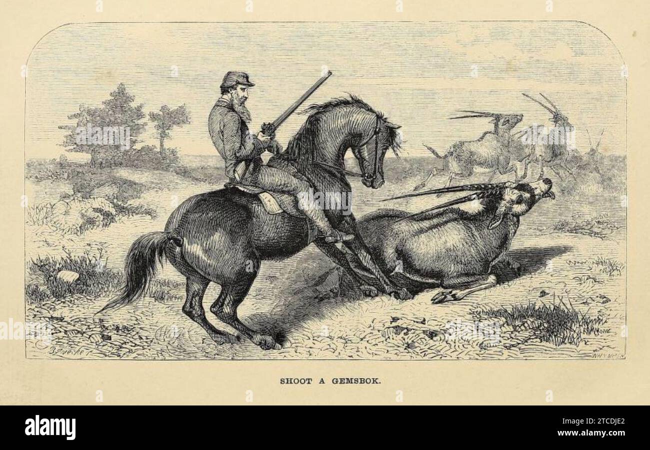 William charles baldwin hi-res stock photography and images - Alamy