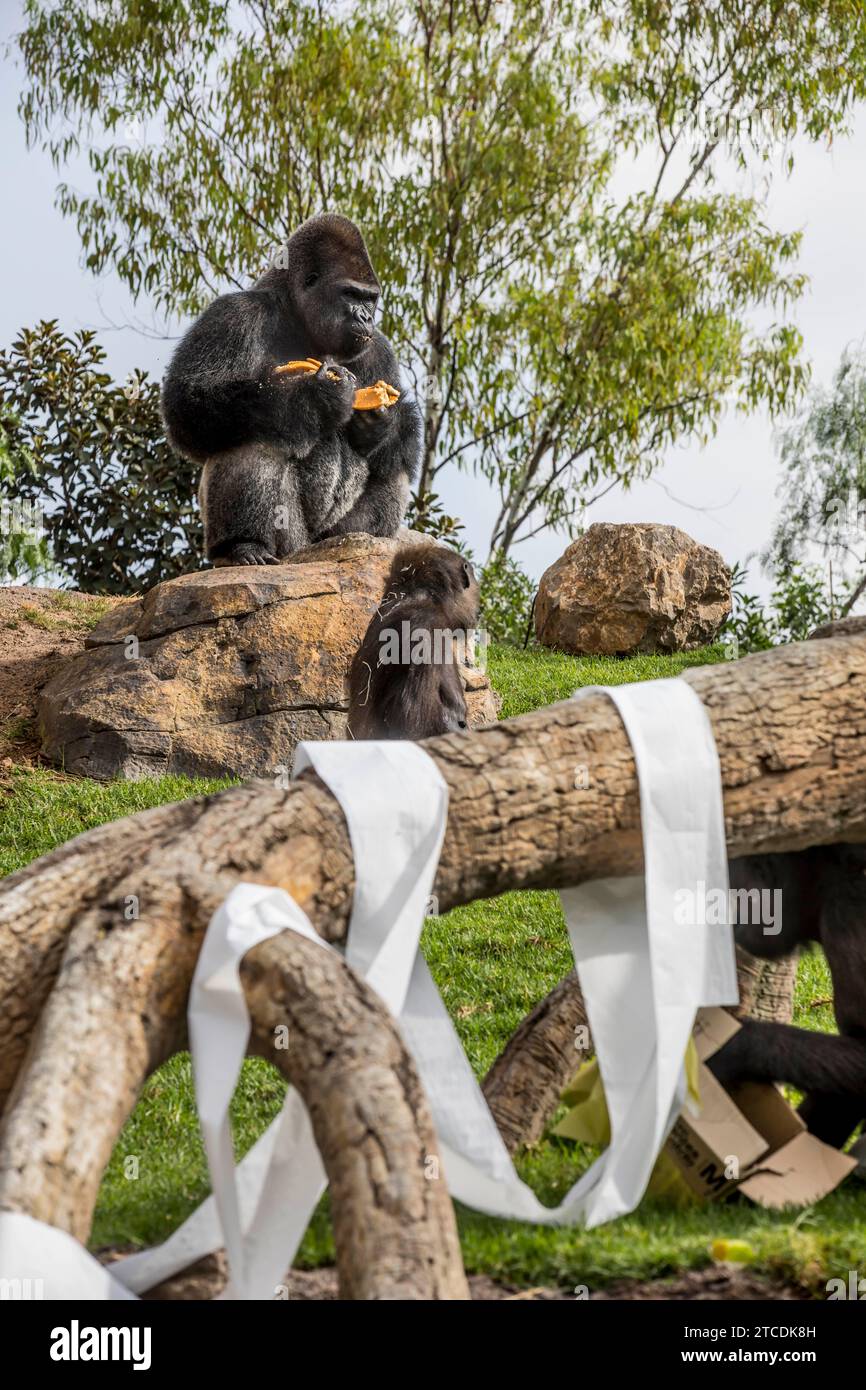 Biopark hi-res stock photography and images - Alamy