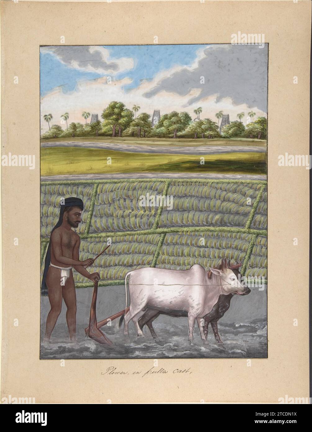 Plower in Pulla Caste, from Indian Trades and Castes 1970 by Anonymous ...