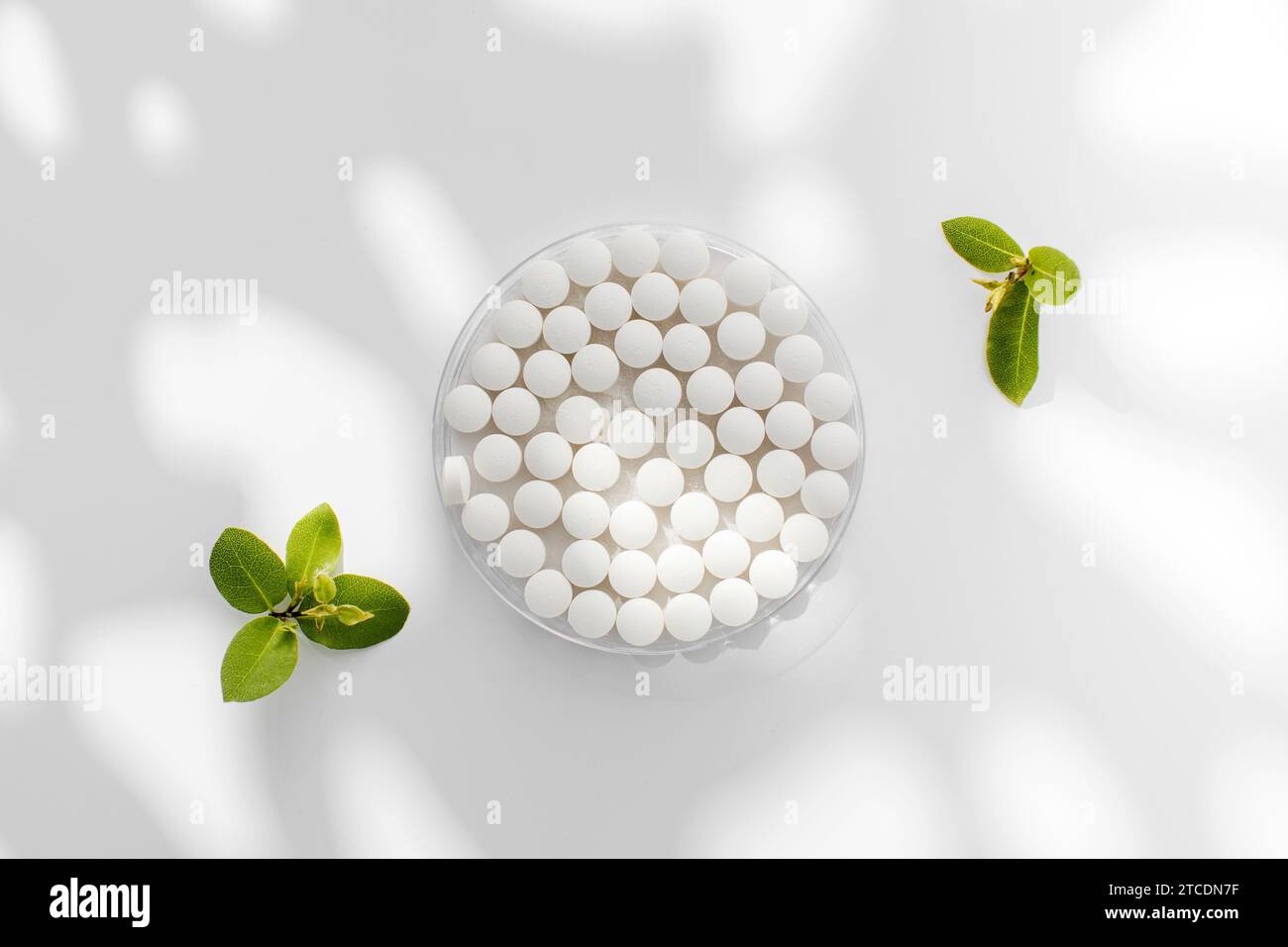 White round tablets with a natural composition. Tablets, minerals and ...
