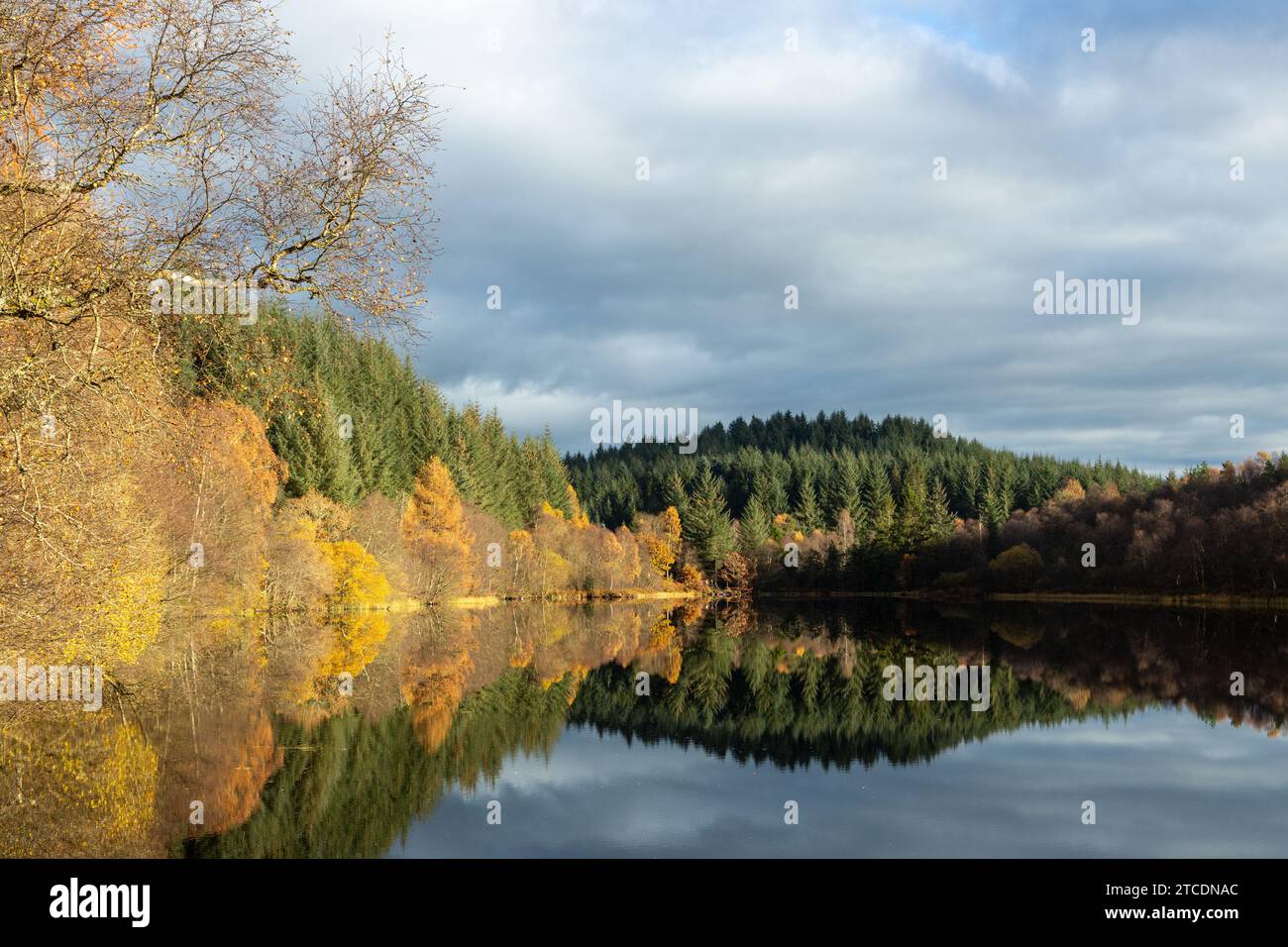 Spling hi-res stock photography and images - Alamy