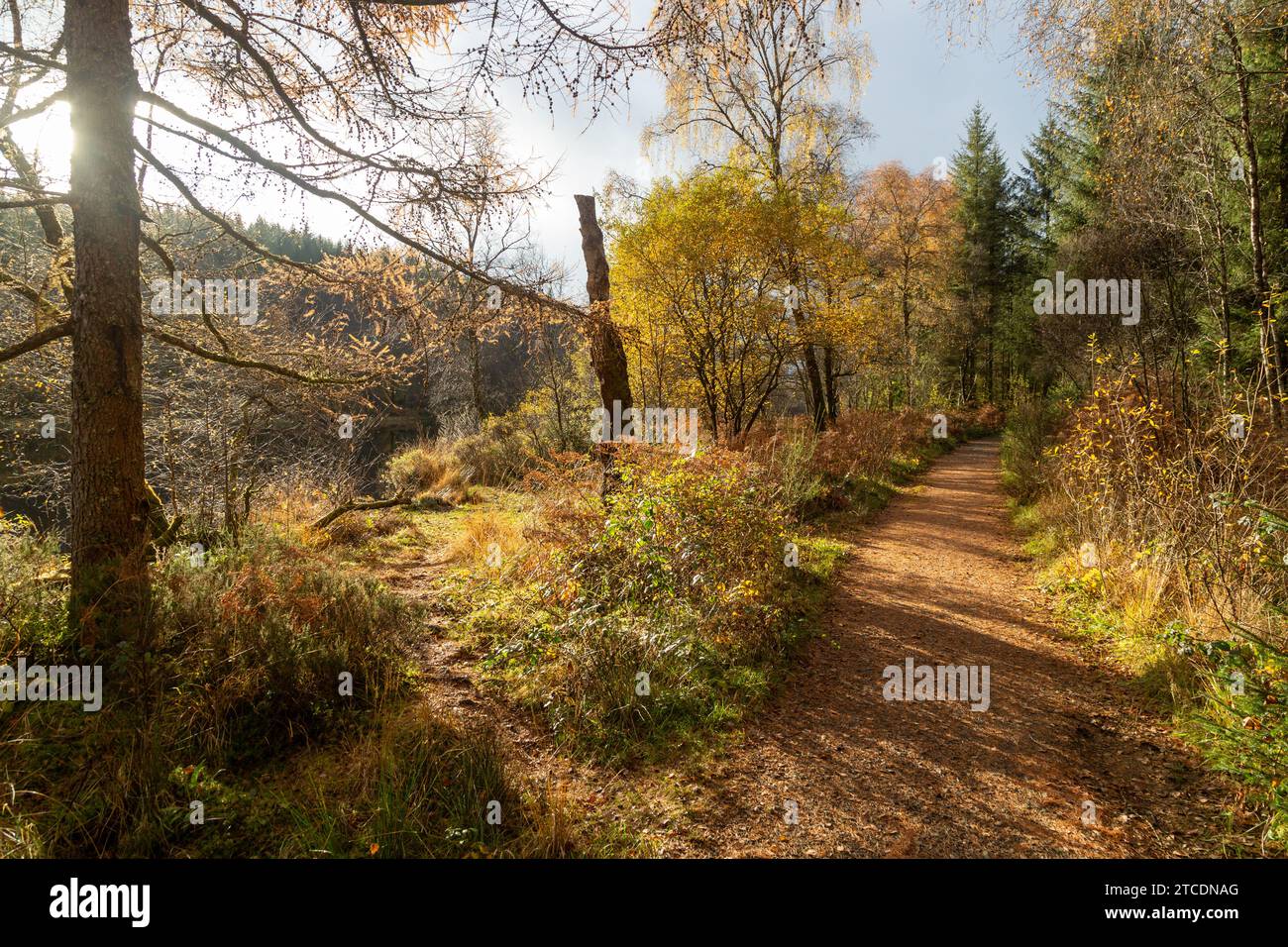 Lochan spling hi-res stock photography and images - Alamy