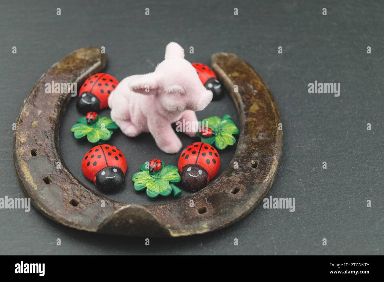 horseshoe, lucky pig, beetles and four-leafed clover, lucky symbols ...