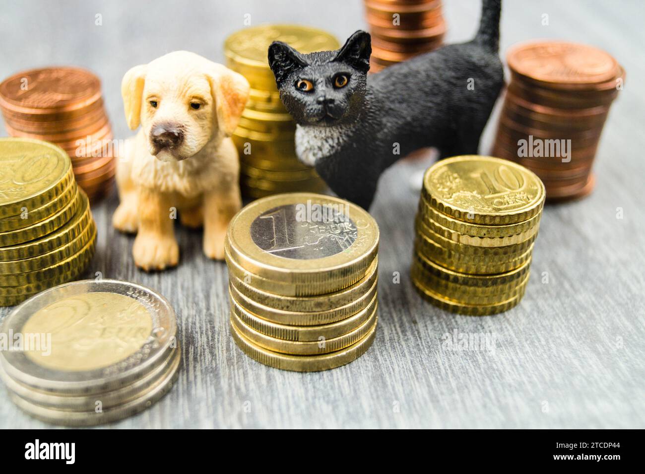 Euro coins and plastic figures of dog and cat Stock Photo - Alamy